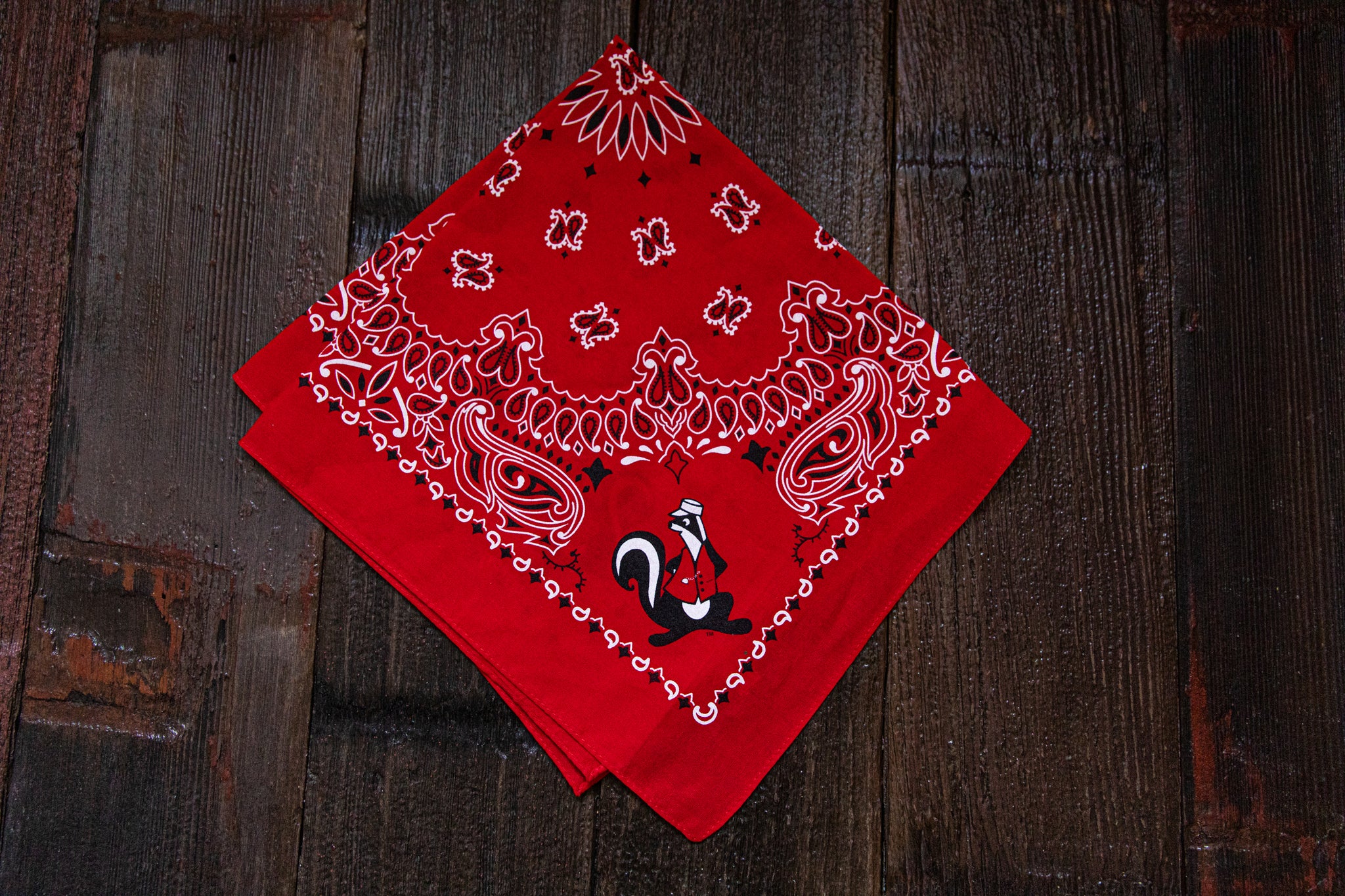 Accessories – Skunk Train